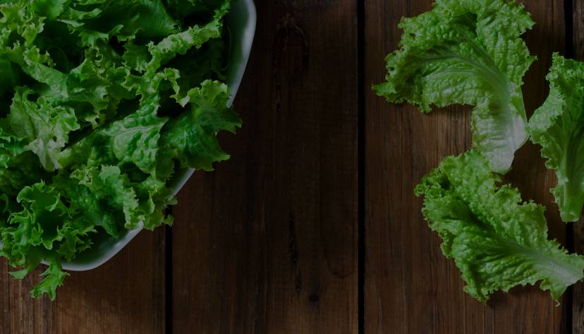 California Leafy Greens Marketing Agreement | Home Page