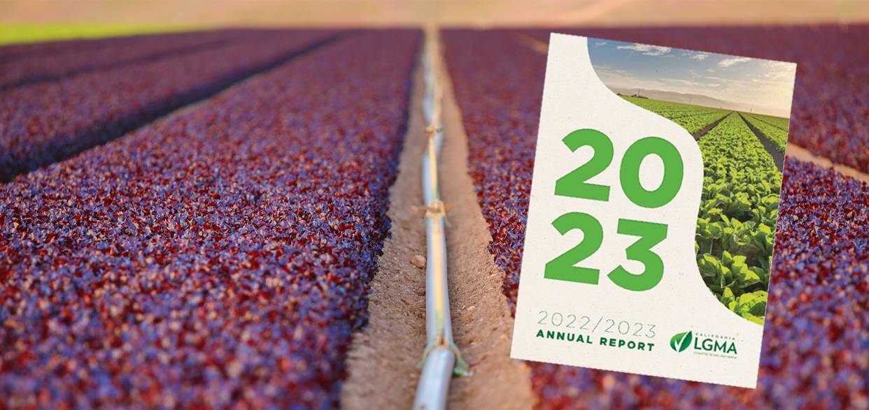 California Leafy Greens Marketing Agreement | Home Page