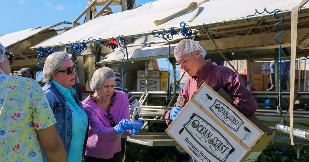 California Leafy Greens Marketing Agreement | LGMA Hosts Tour Group…