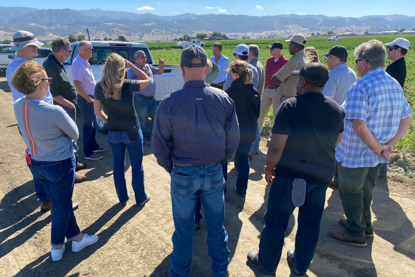 California Leafy Greens Marketing Agreement | News Archive